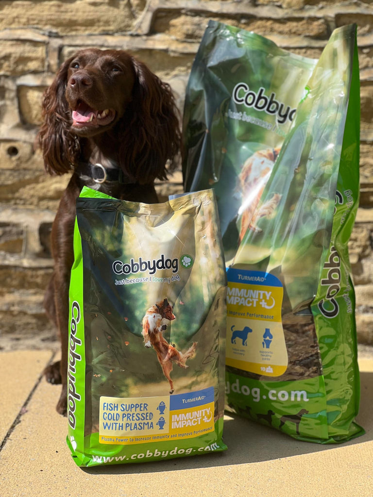 Introducing Immunity Impact! – Cobbydog