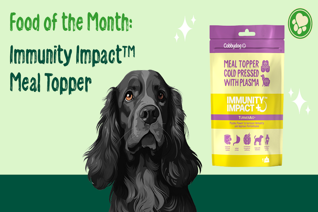 Boost Your Senior Dog’s Health with Immunity Impact™ Meal Topper – Cobbydog