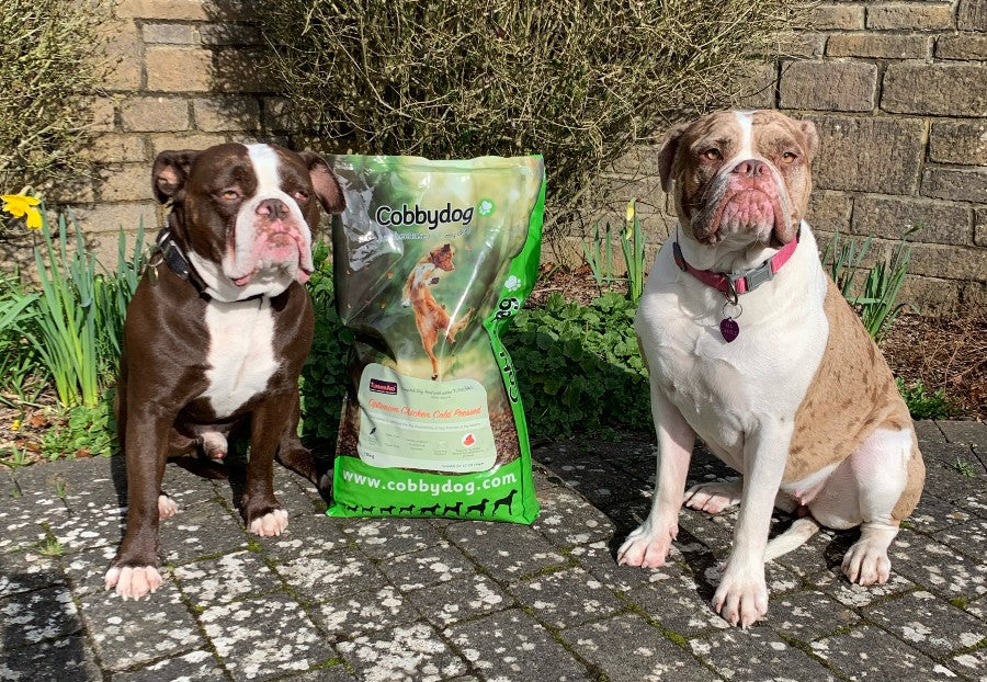 Arnold (Arnie) and Sandy. – Cobbydog