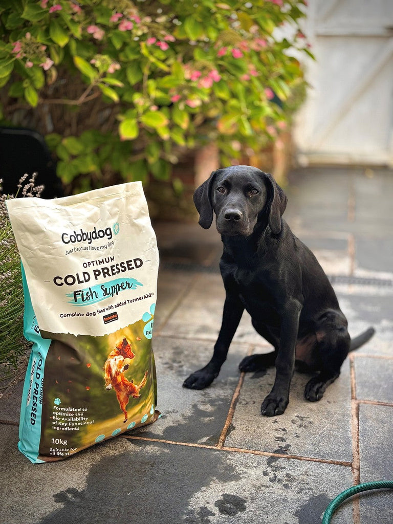 Murphy – Cobbydog
