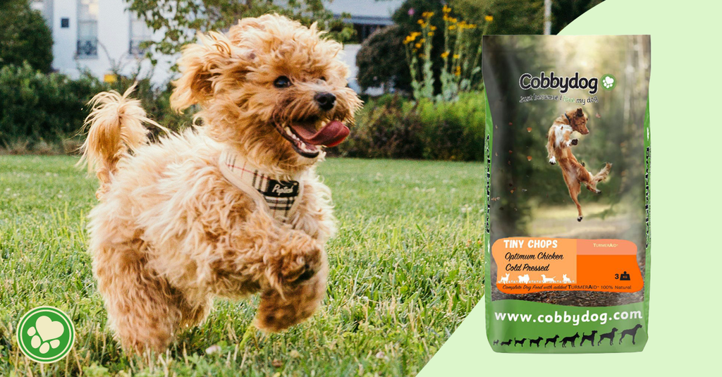Managing Pancreatitis in Dogs - Chicken Optimum – Cobbydog