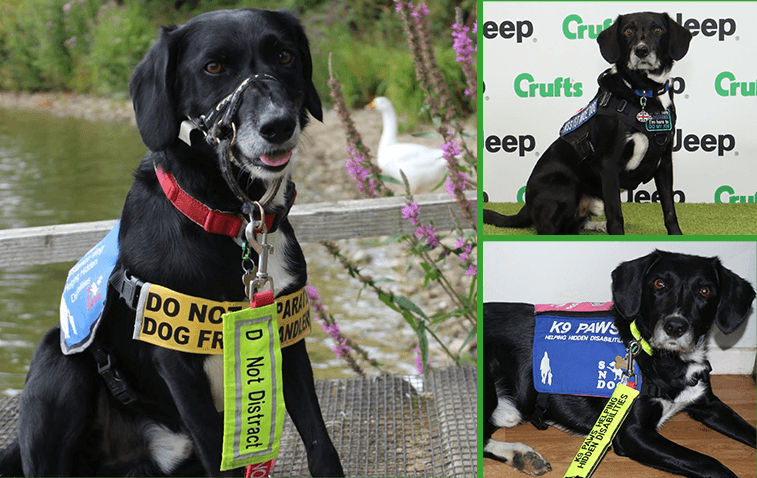 Meet Beth and Snoop-Dawg, the Medical Alert Assistance Dog – Cobbydog