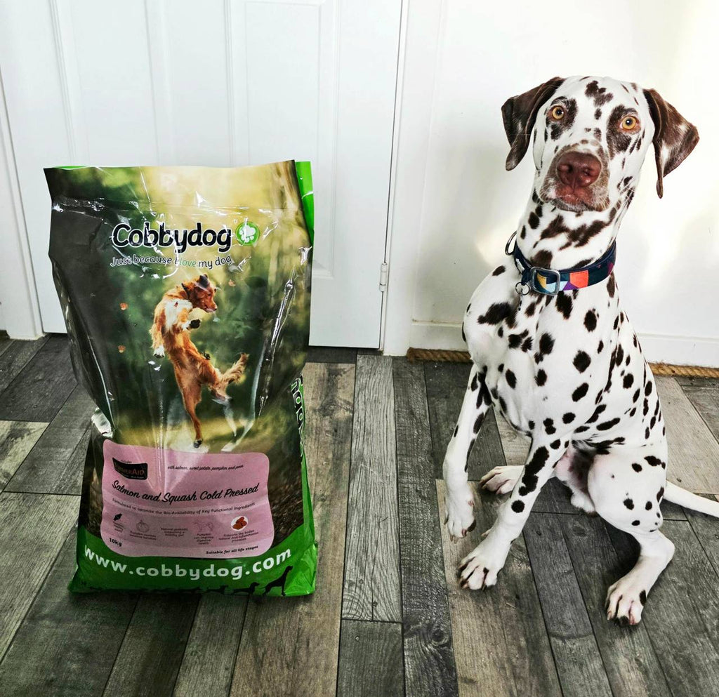 Rufus – Cobbydog