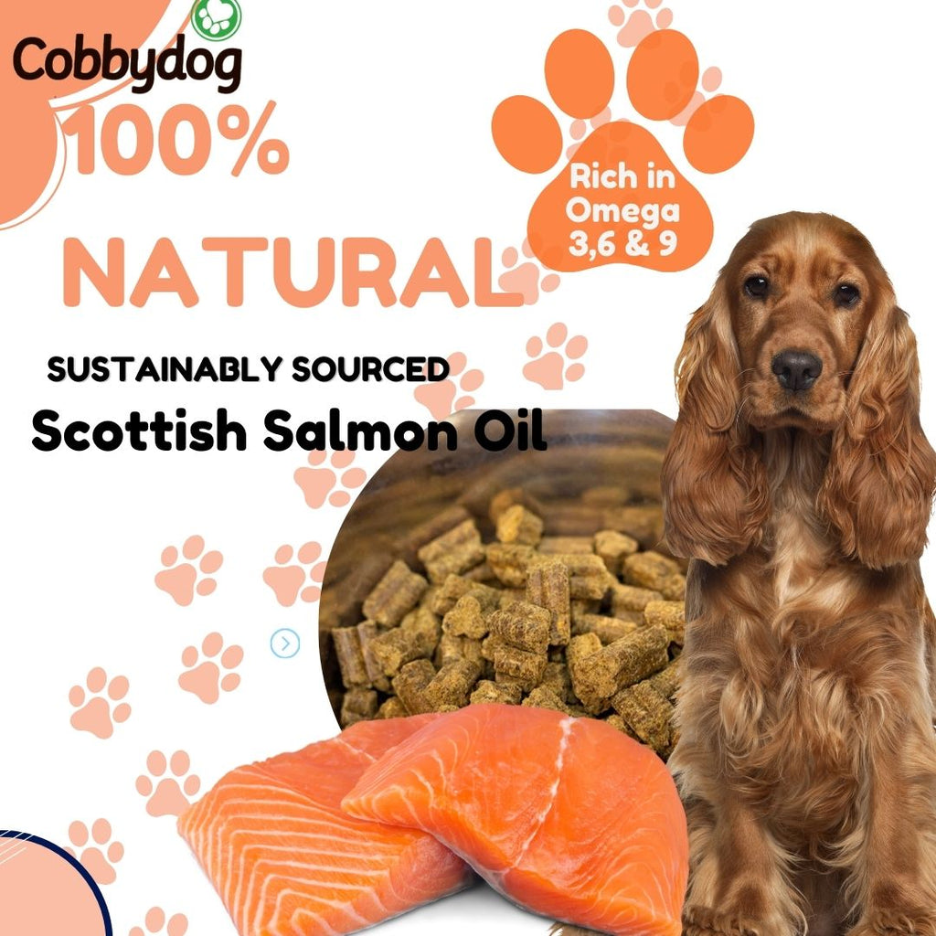 Cobbydog Scottish Salmon Oil