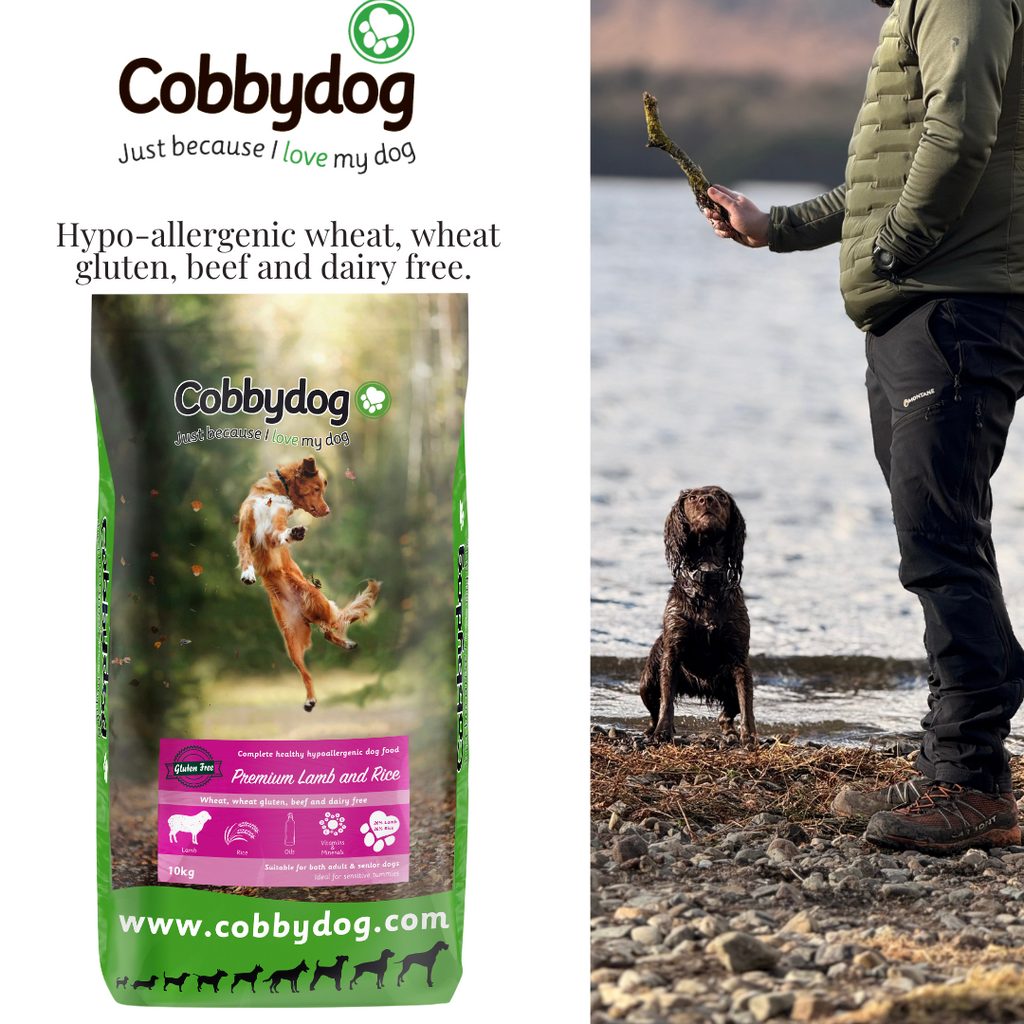 Wheat Gluten Free Lamb and Rice Dog Food – Cobbydog