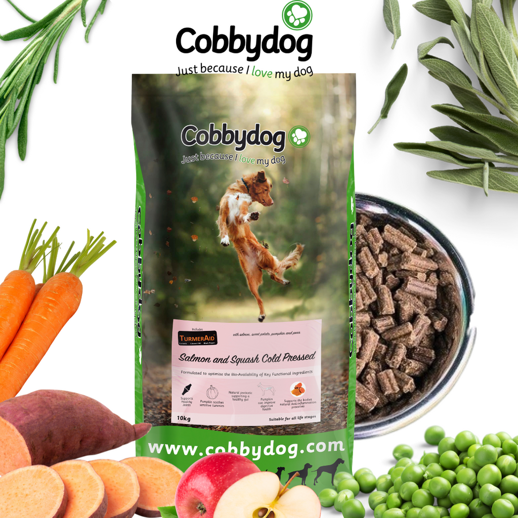 Salmon & Squash Cold Pressed Dog Food With TurmerAid™ – Cobbydog